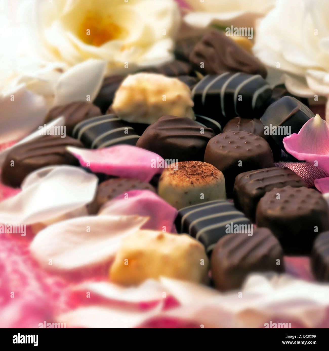 Chocolate truffles and rose petals Stock Photo - Alamy