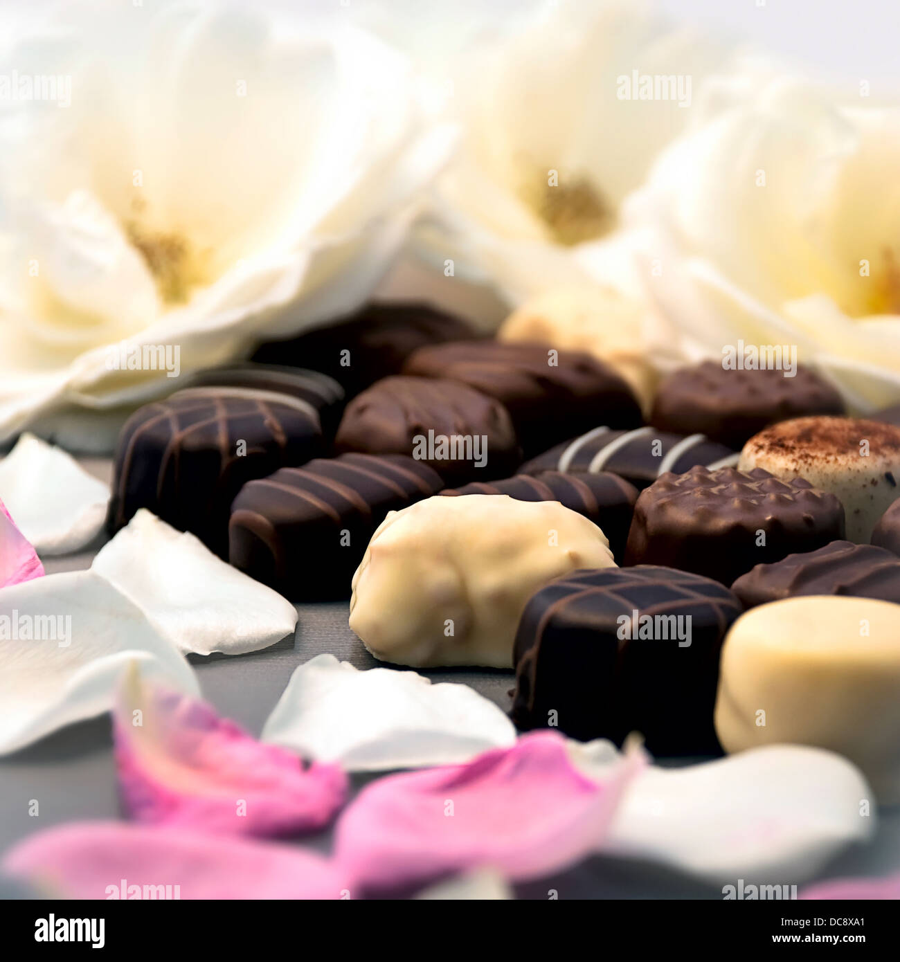 Gourmet chocolates hi-res stock photography and images - Alamy