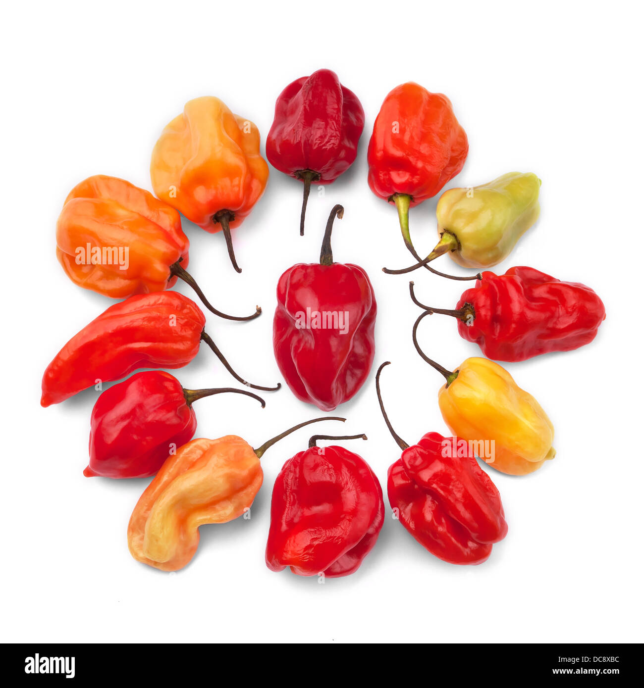 Scotch pepper group - Isolated in white background Stock Photo - Alamy