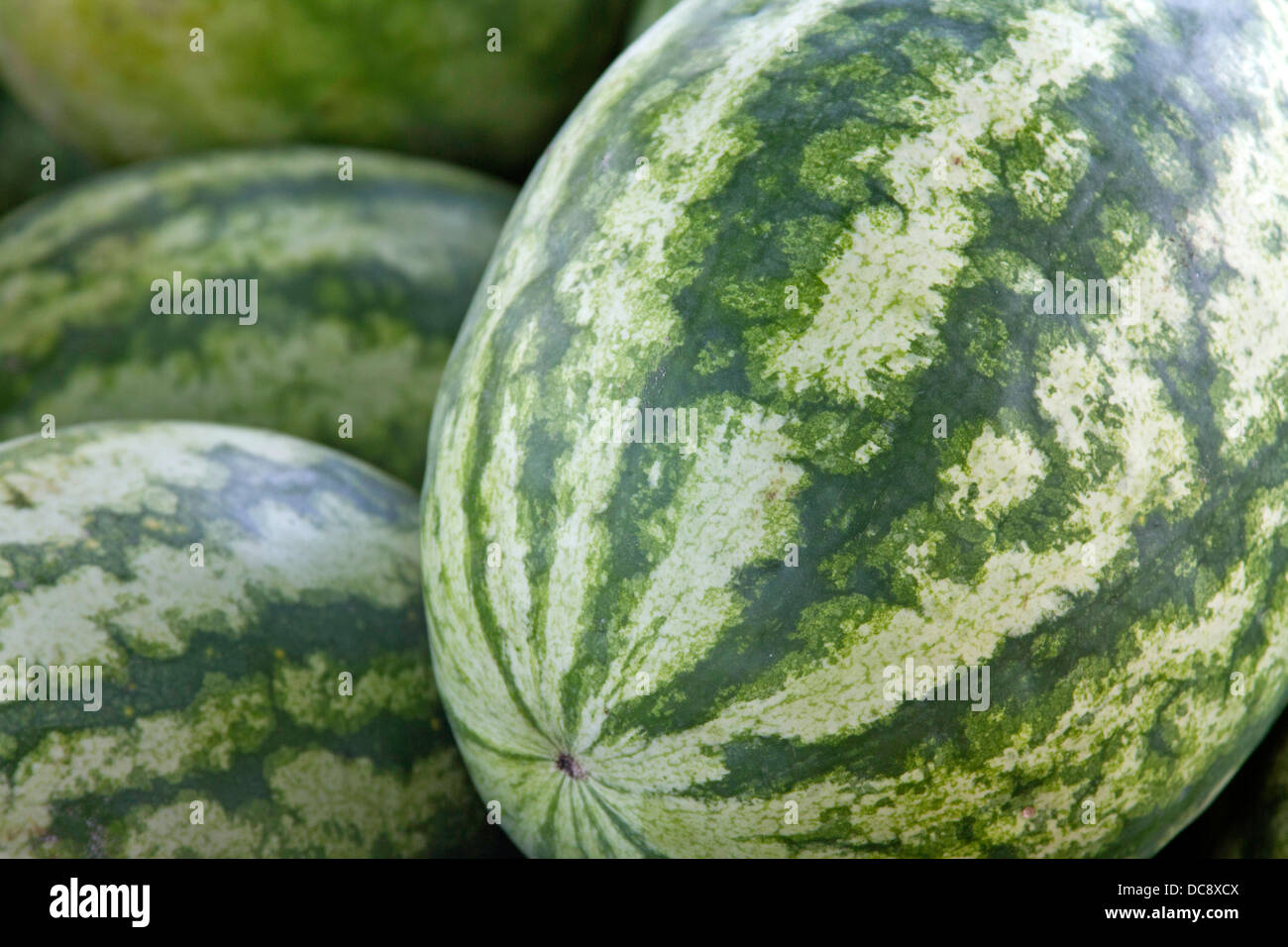 Close up agriculture hi-res stock photography and images - Alamy