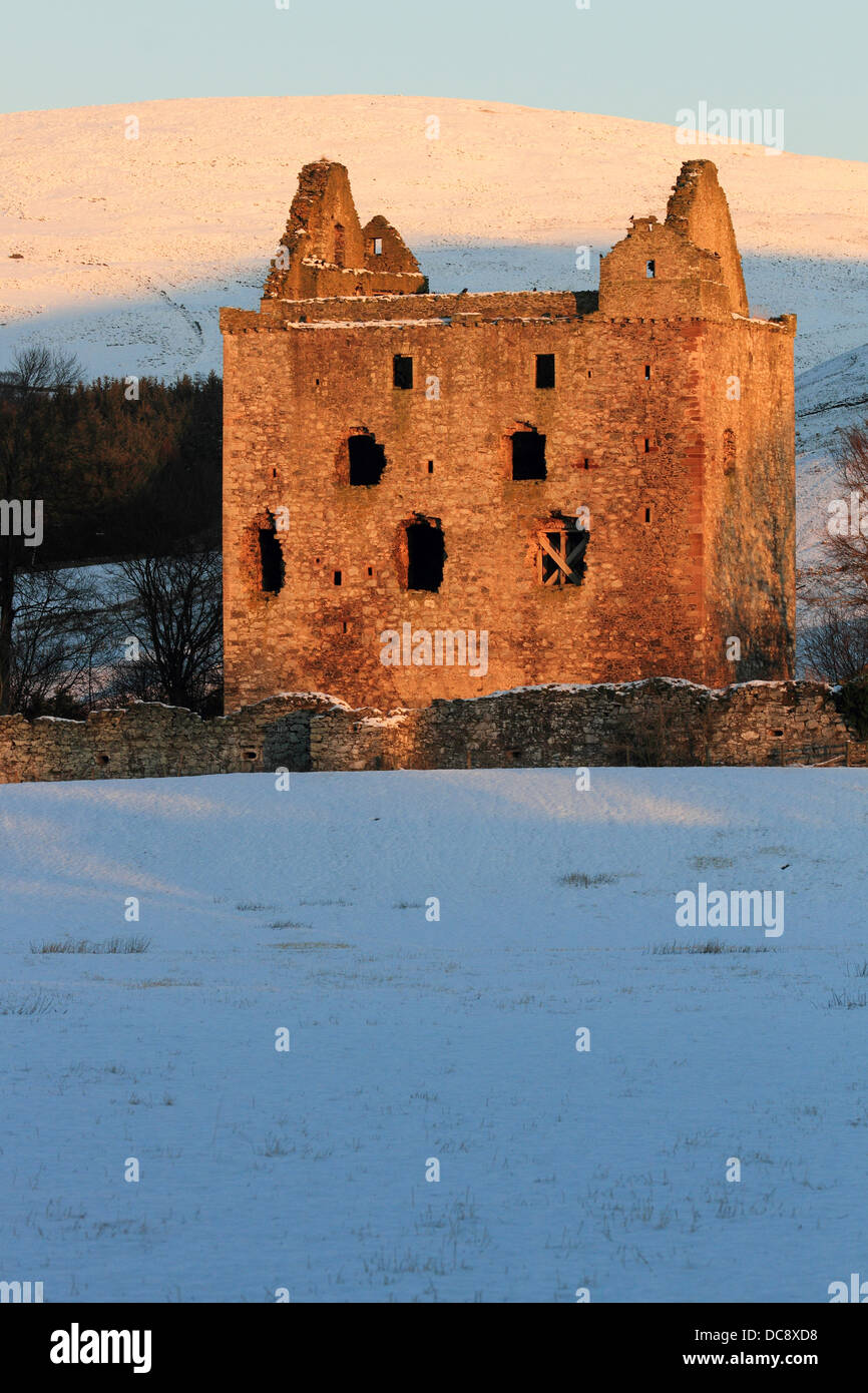 Newark Castle, Selkirkshire in the Scottish Borders Stock Photo - Alamy
