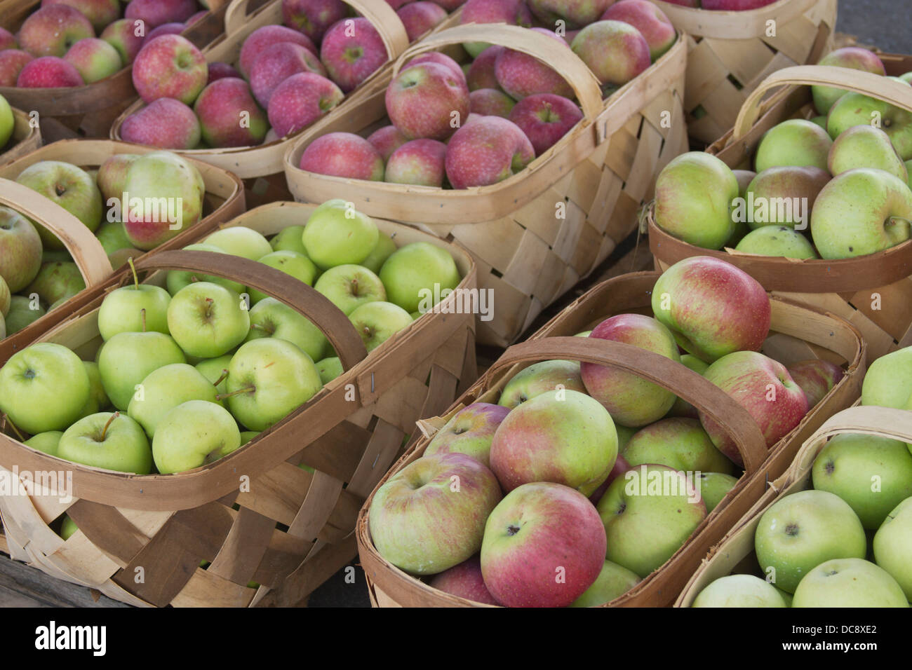 Fresh harvest baskets of different varieties of colorful apples Stock ...