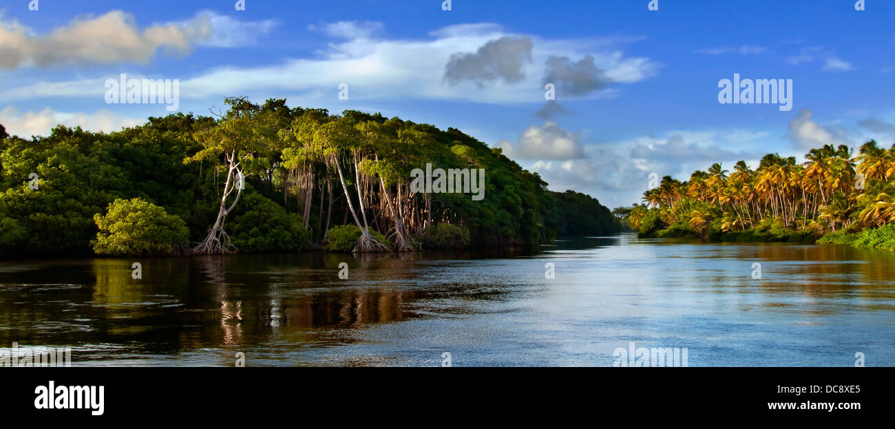 Trinidad and tobago river hi-res stock photography and images - Alamy