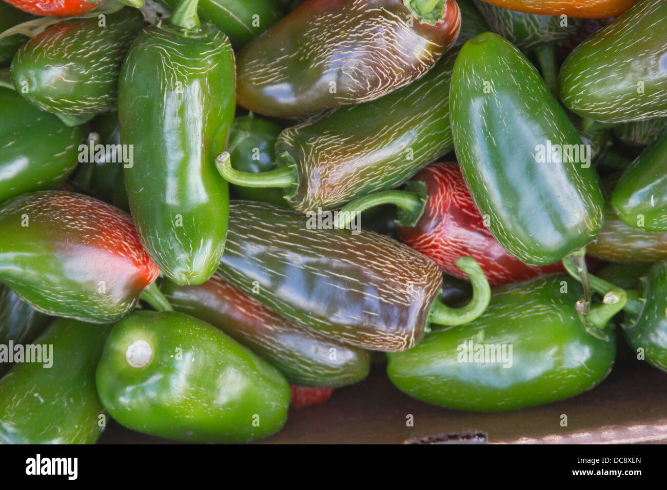 Red jalapeno peppers hi-res stock photography and images - Alamy