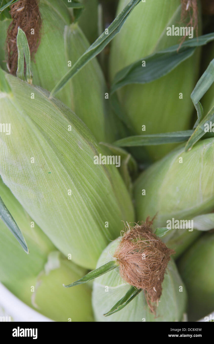 Picked harvest hi-res stock photography and images - Alamy