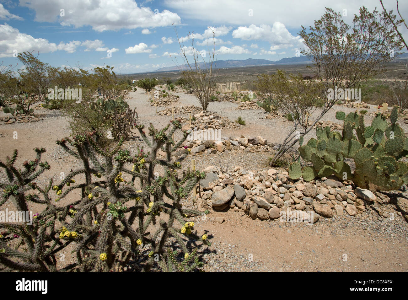 Boot hill cemetery tombstone arizona hi-res stock photography and ...