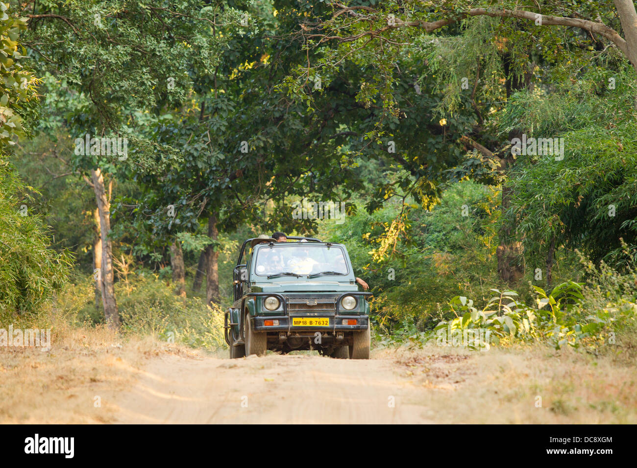 India gypsy hi-res stock photography and images - Alamy