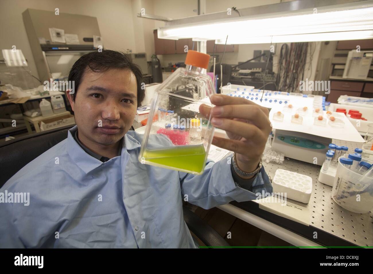 Ming chih hi-res stock photography and images - Alamy