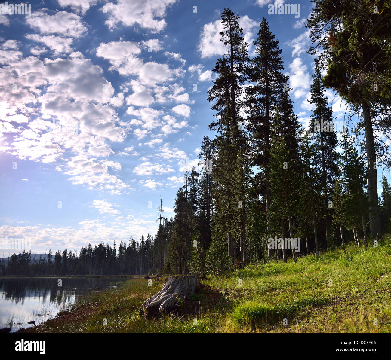 Modoc county hi-res stock photography and images - Alamy