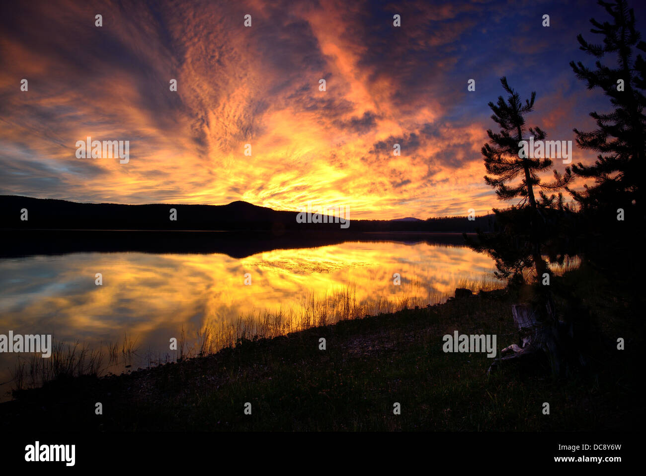 Modoc County High Resolution Stock Photography and Images - Alamy