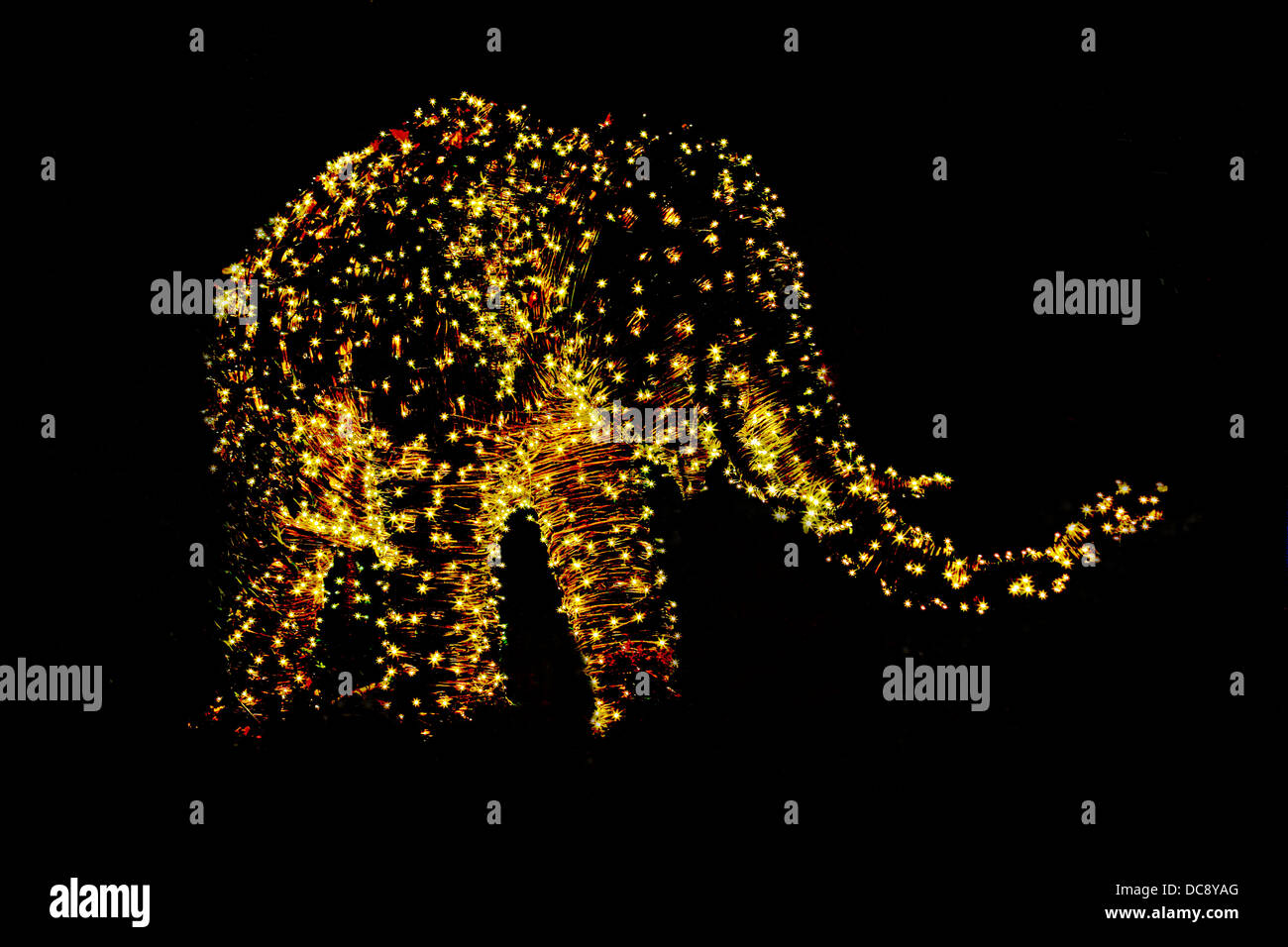 Washington dc zoo elephant hi-res stock photography and images - Alamy