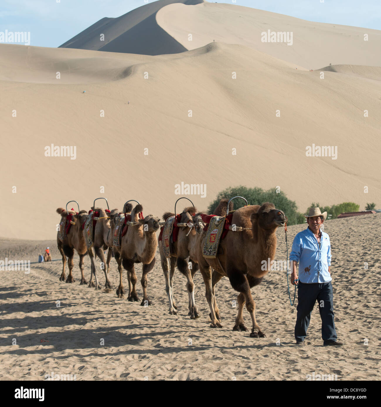 Leading camel desert silk road hi-res stock photography and images - Alamy