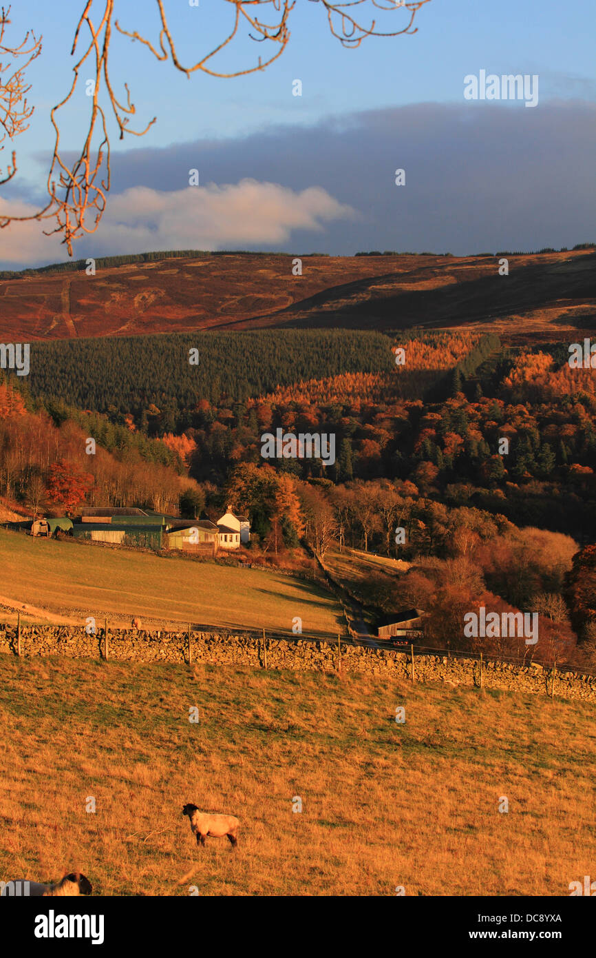 Sunset colours over a farm in Upper Tweeddale Valley Stock Photo - Alamy