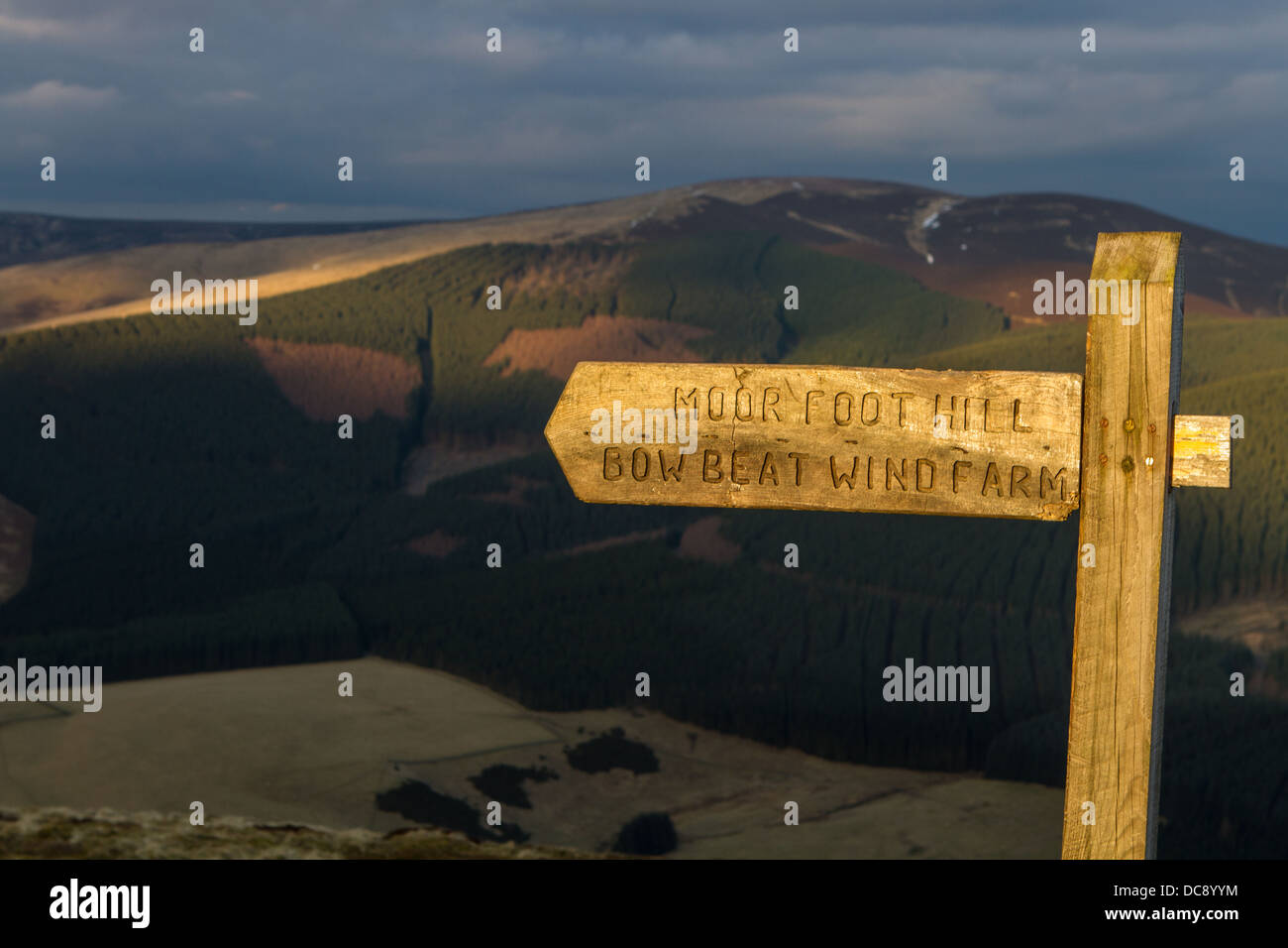 Lee penn hi-res stock photography and images - Alamy