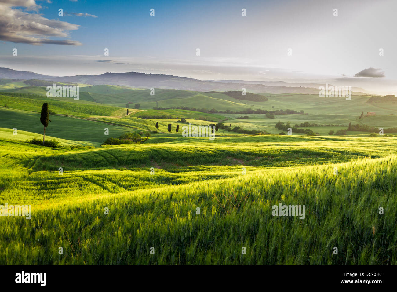 Rising fog in the valley at sunset, Tuscany Stock Photo - Alamy