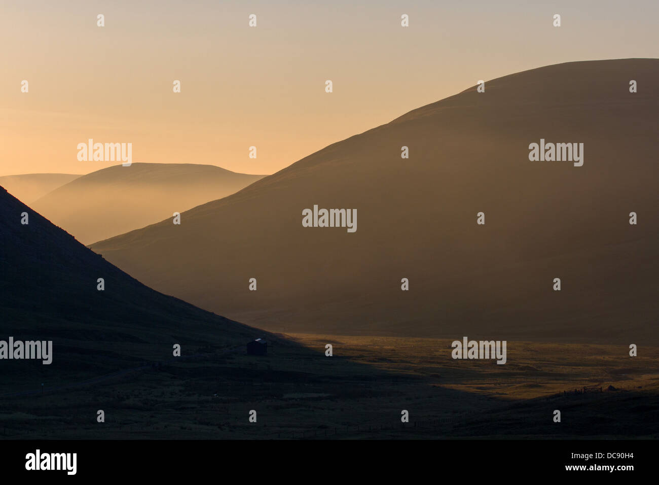 Morning Light, Upper Tweeddale - Scottish Borders Stock Photo - Alamy
