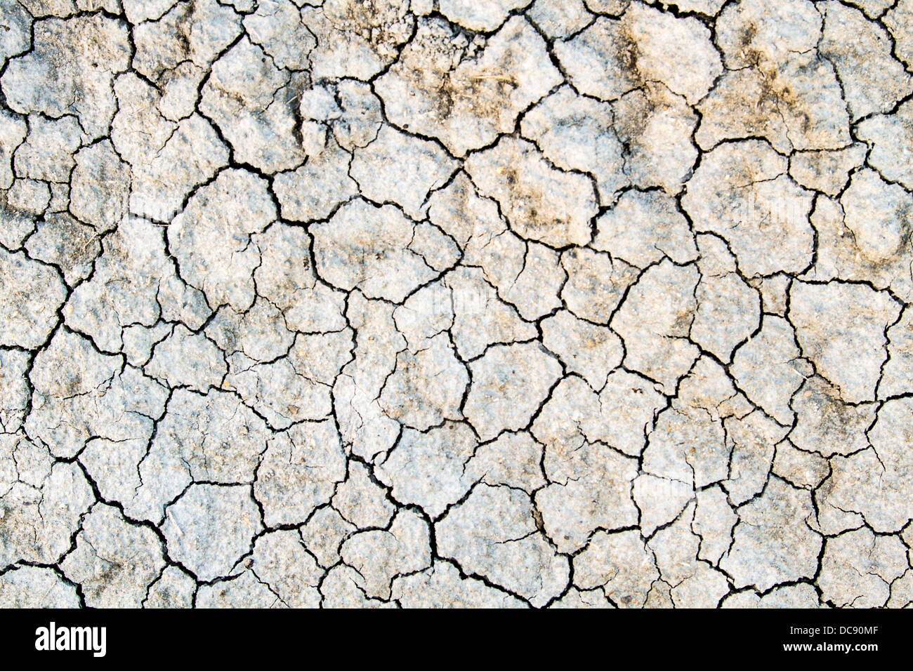 Cracked dry land without water Stock Photo - Alamy