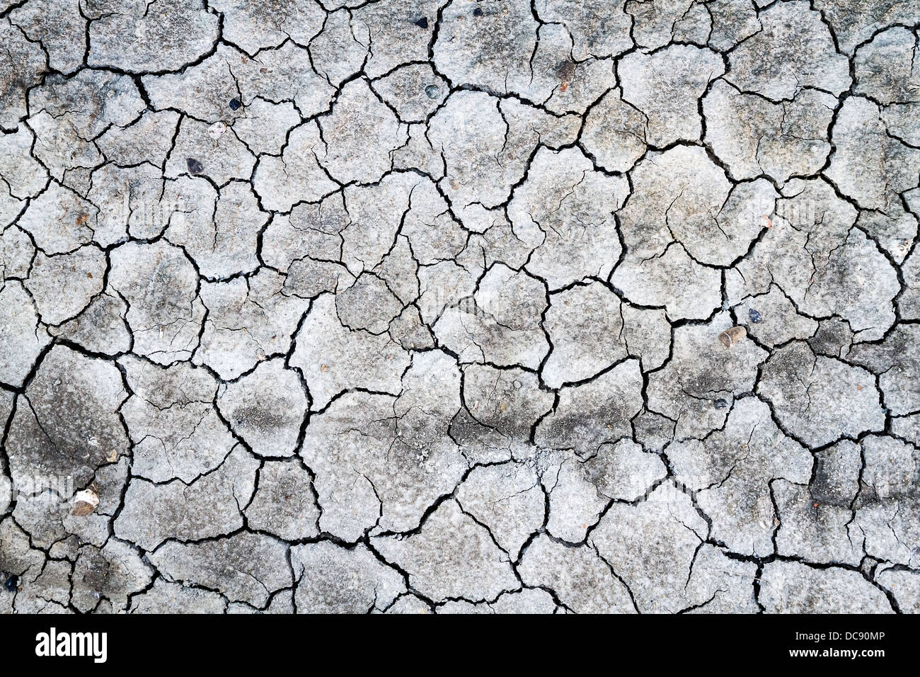 Cracked earth sun burned Stock Photo - Alamy