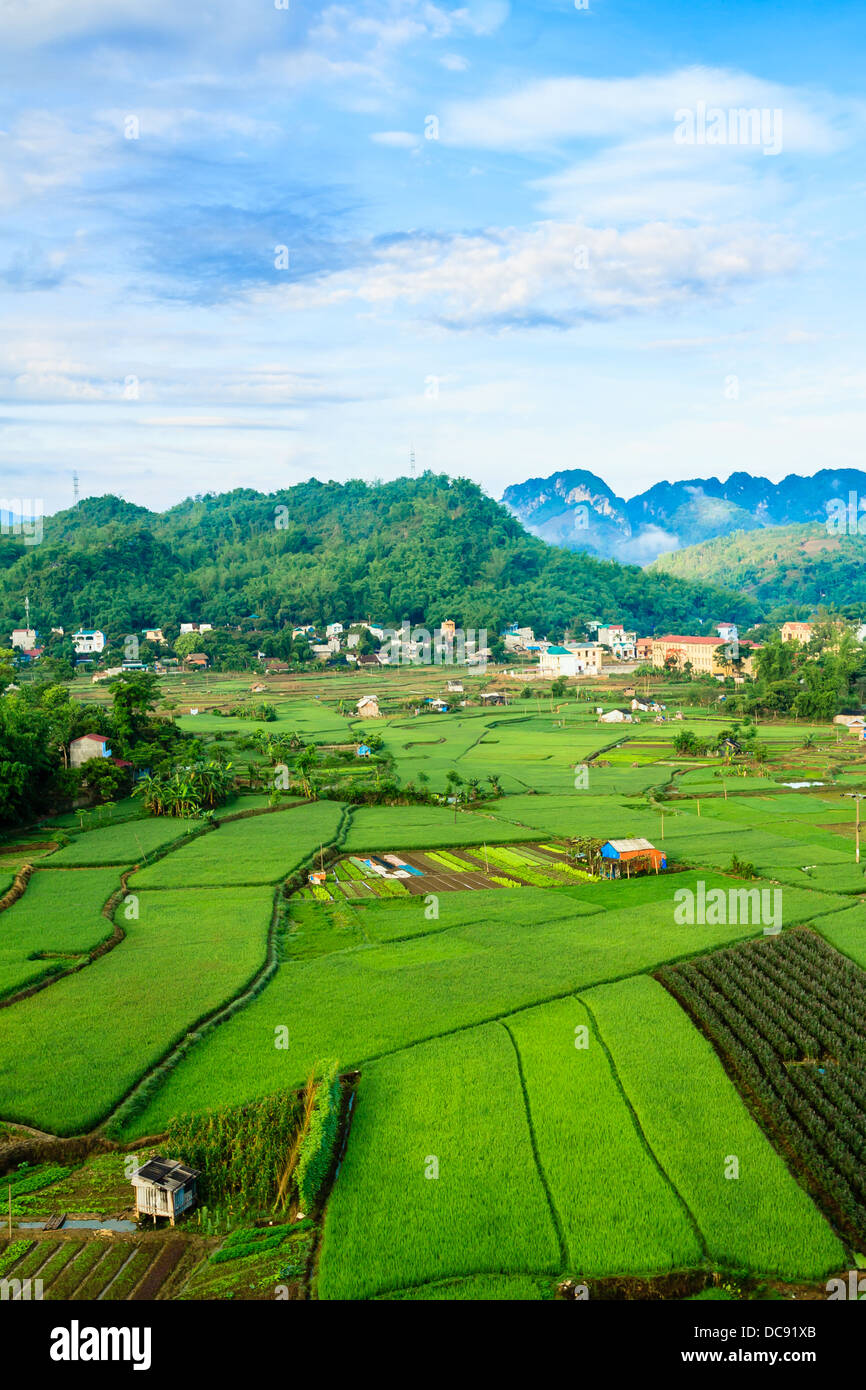Morning at the son la province hi-res stock photography and images - Alamy