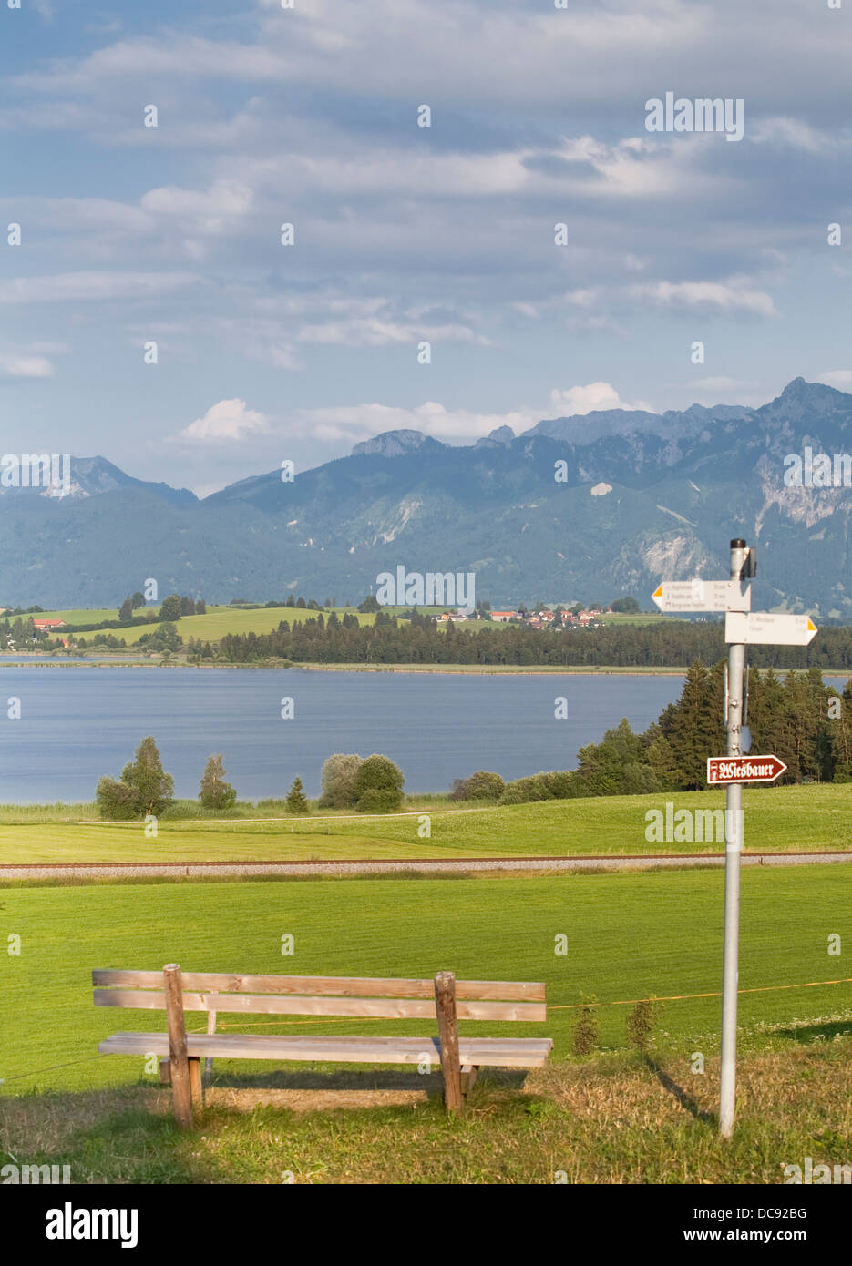 Wiesbauer hi-res stock photography and images - Alamy