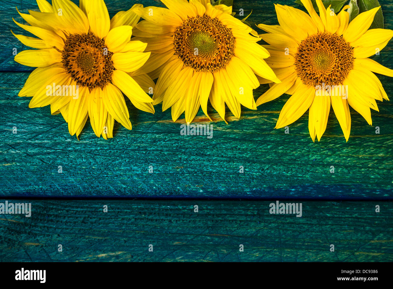 Art abstract background with floral motive for design Stock Photo - Alamy