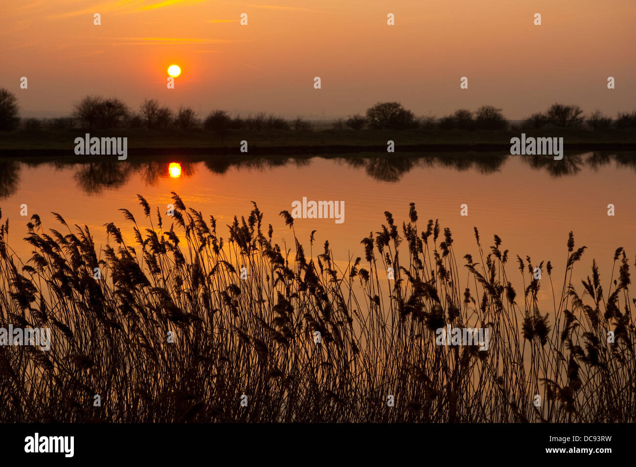 Gravesend marshes hi-res stock photography and images - Alamy