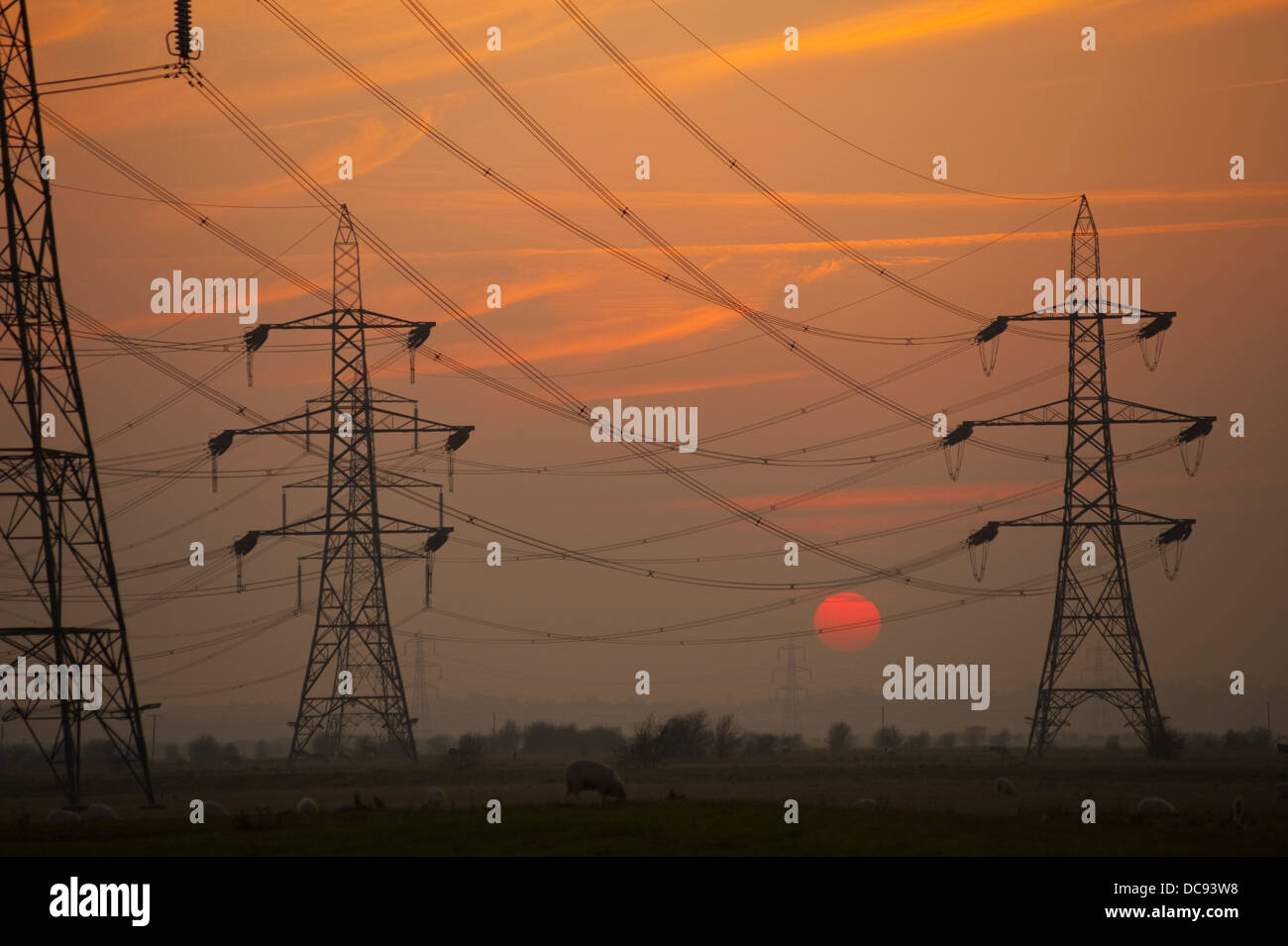 Power distribution unit hi-res stock photography and images - Alamy