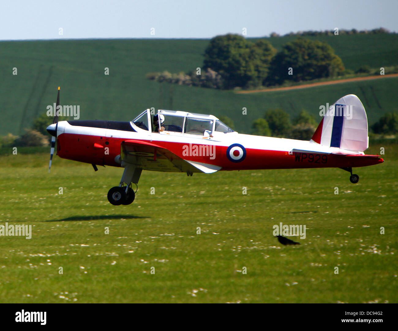 Vintage RAF Chipmunk two-seat training aircraft at a Duxford Air ...