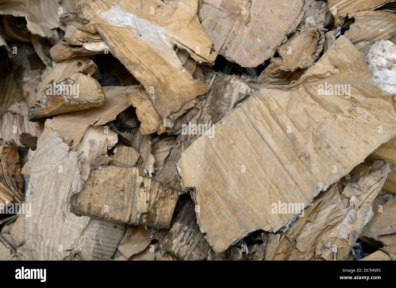 Waste cardboard and paper at a recycling plant in the West Midlands ...