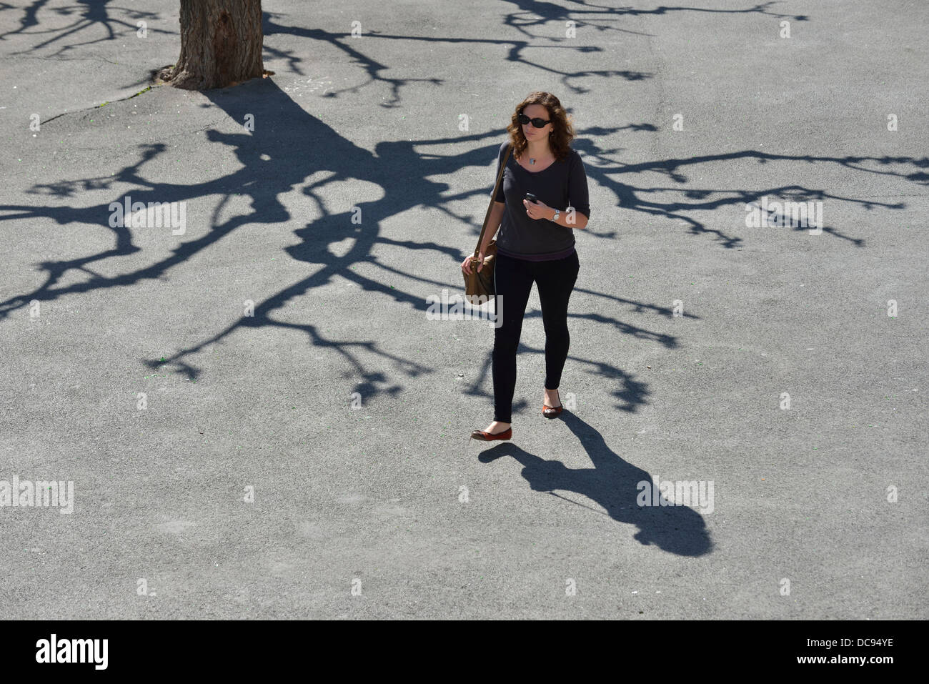 Tree casting shadow hi-res stock photography and images - Alamy