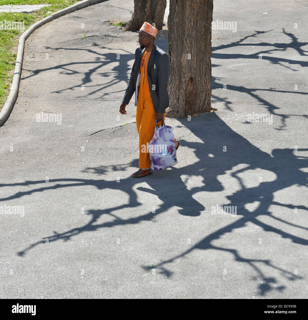 Shadow of a tree on a pavement hi-res stock photography and images - Alamy
