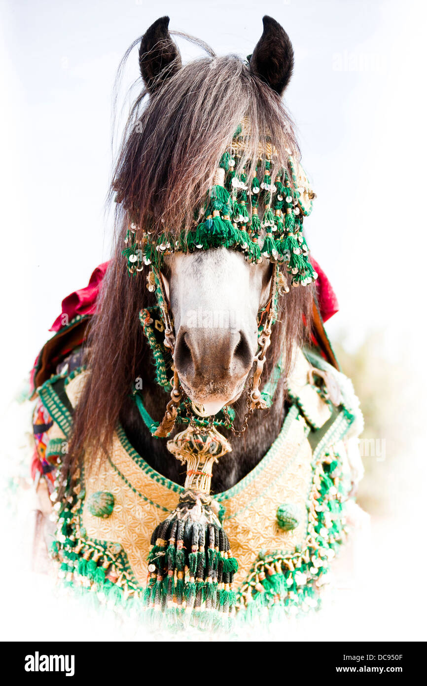 Arab Headgear High Resolution Stock Photography and Images - Alamy
