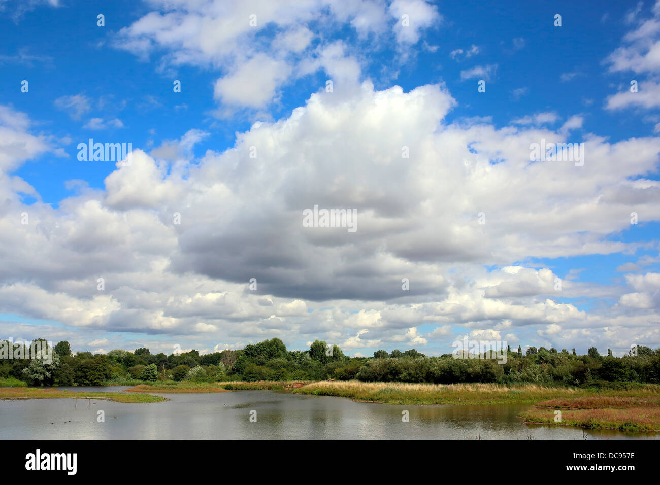 Brandon Marsh Nature Reserve Stock Photo - Alamy