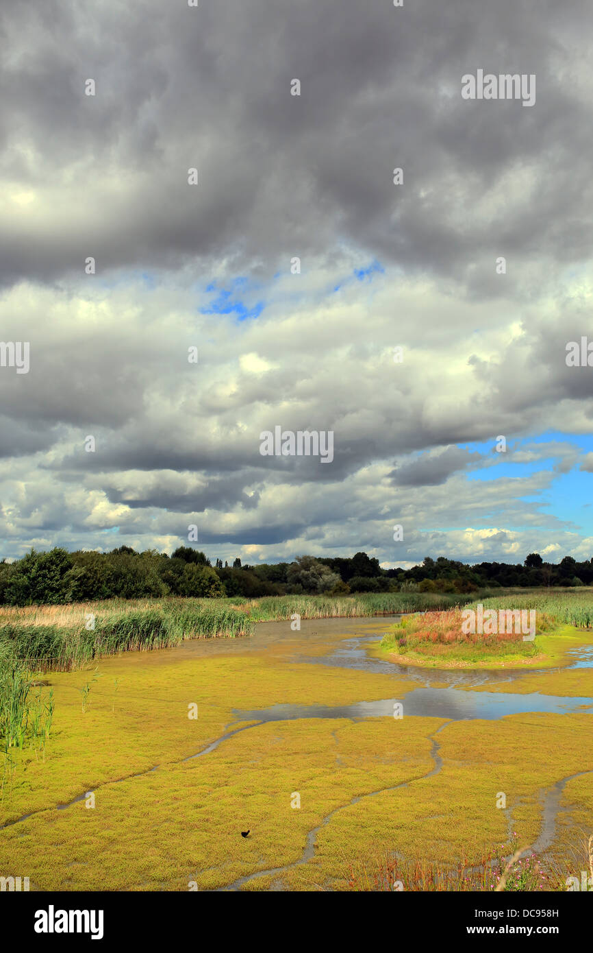 Brandon marsh hi-res stock photography and images - Alamy