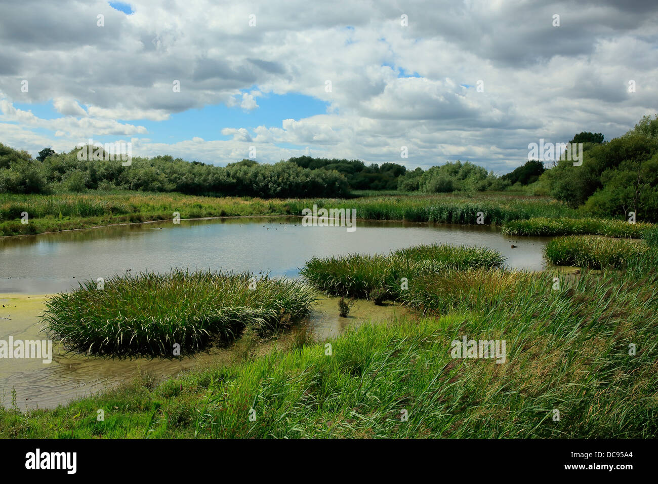 Brandon marsh hi-res stock photography and images - Alamy