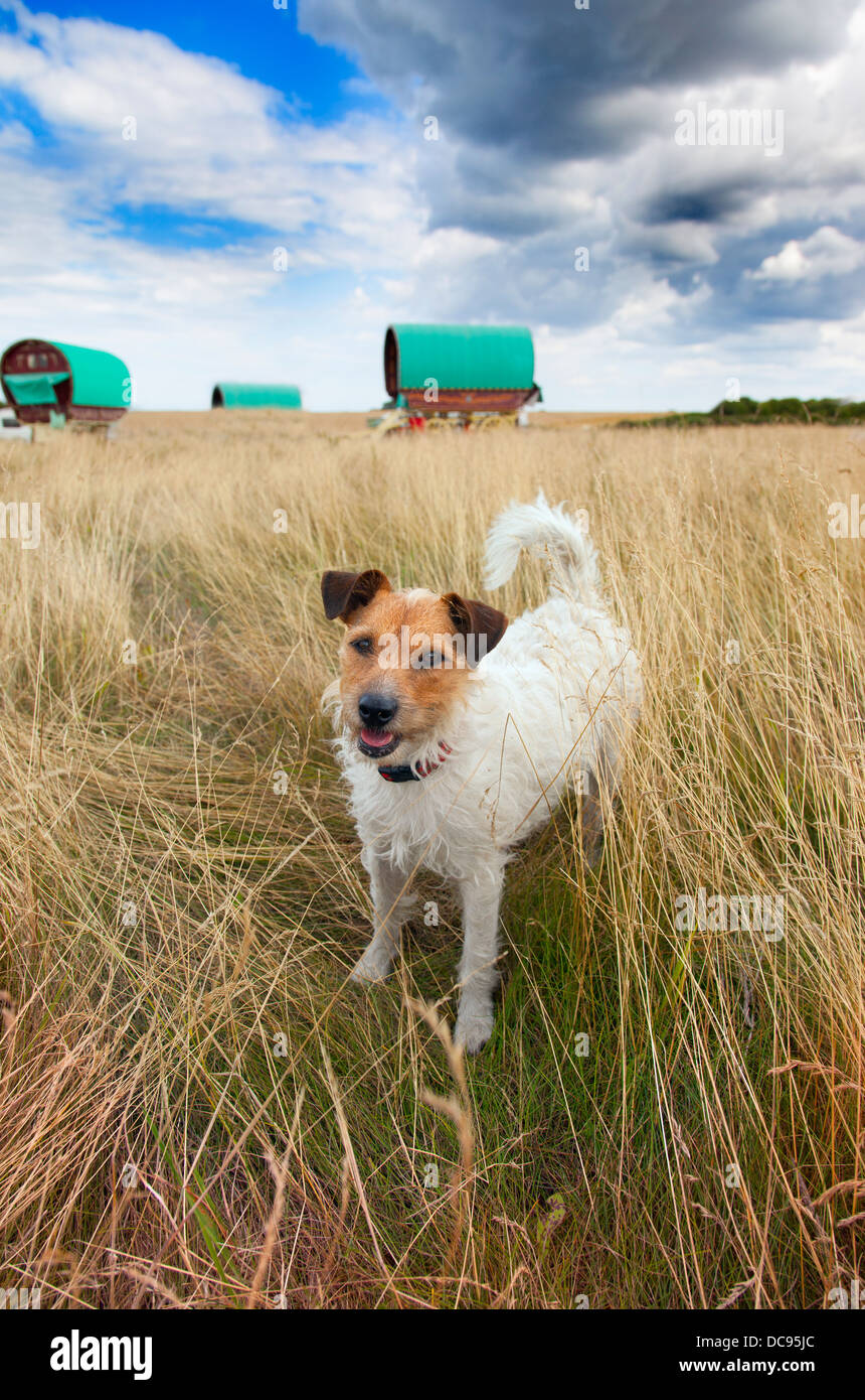 Salthouse norfolk caravan hi-res stock photography and images - Alamy