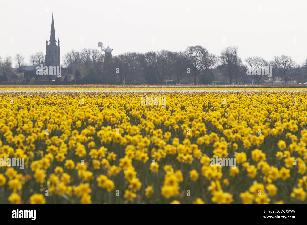 Spalding lincolnshire hi-res stock photography and images - Alamy