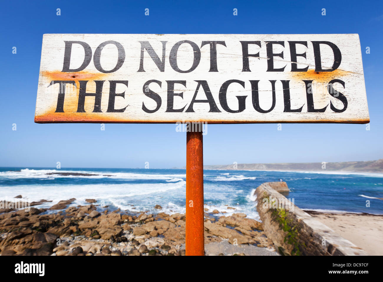 Warning sign not to feed the seagulls hi-res stock photography and ...