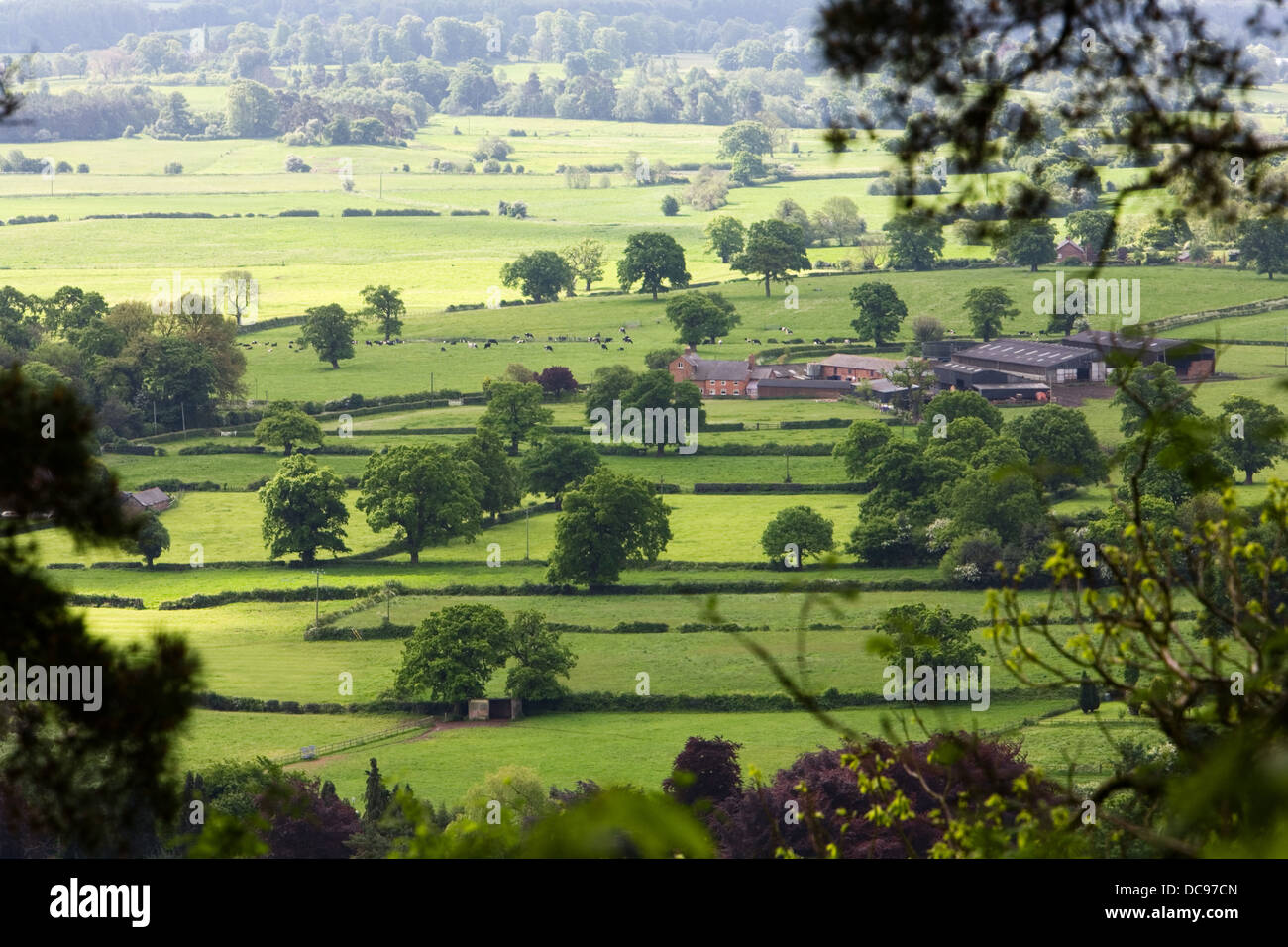Farm with surrounding green fields in Cheshire, England, UK Stock Photo ...