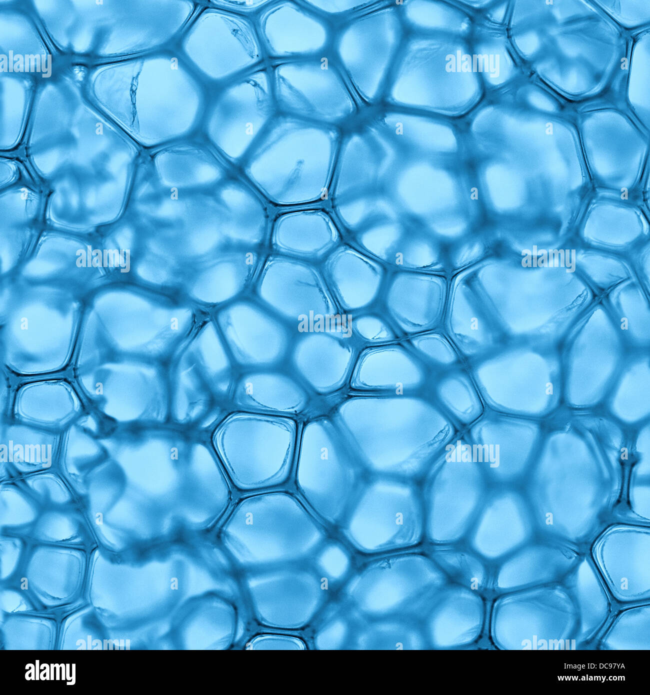 blue background from the cells Stock Photo - Alamy