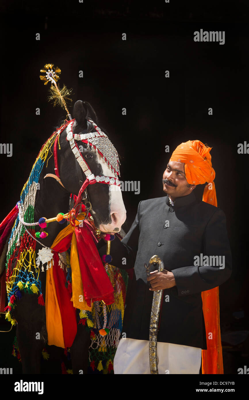 Marwari Horse Black stallion colourful traditional tack standing next ...