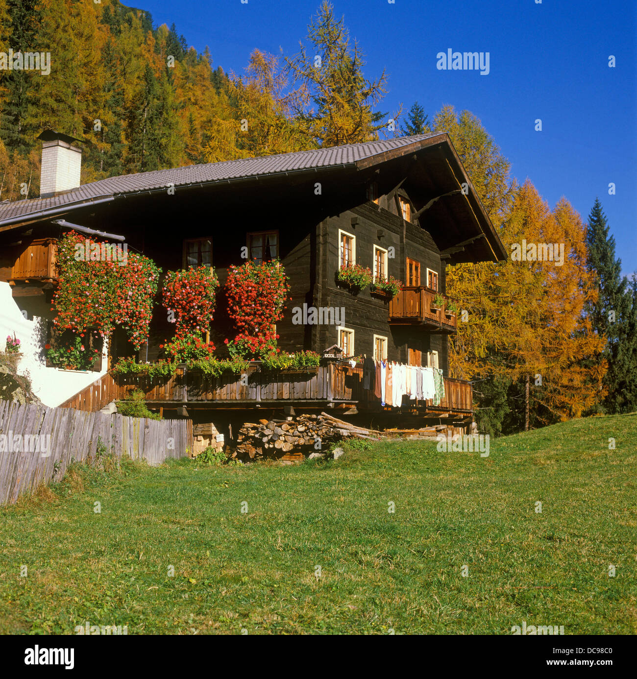 Wooden house hi-res stock photography and images - Alamy