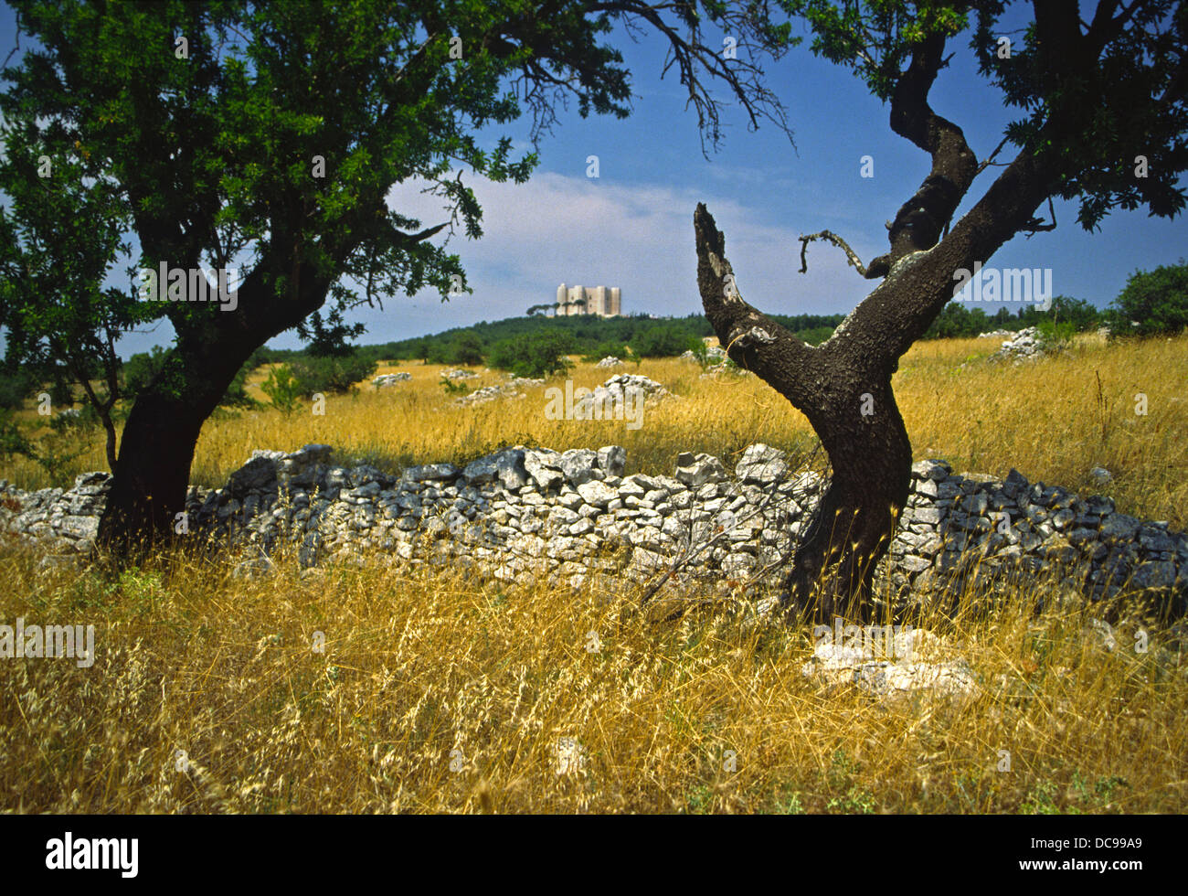 Frederick II's Castelmonte and surrounding landscape in Puglia (Apulia ...