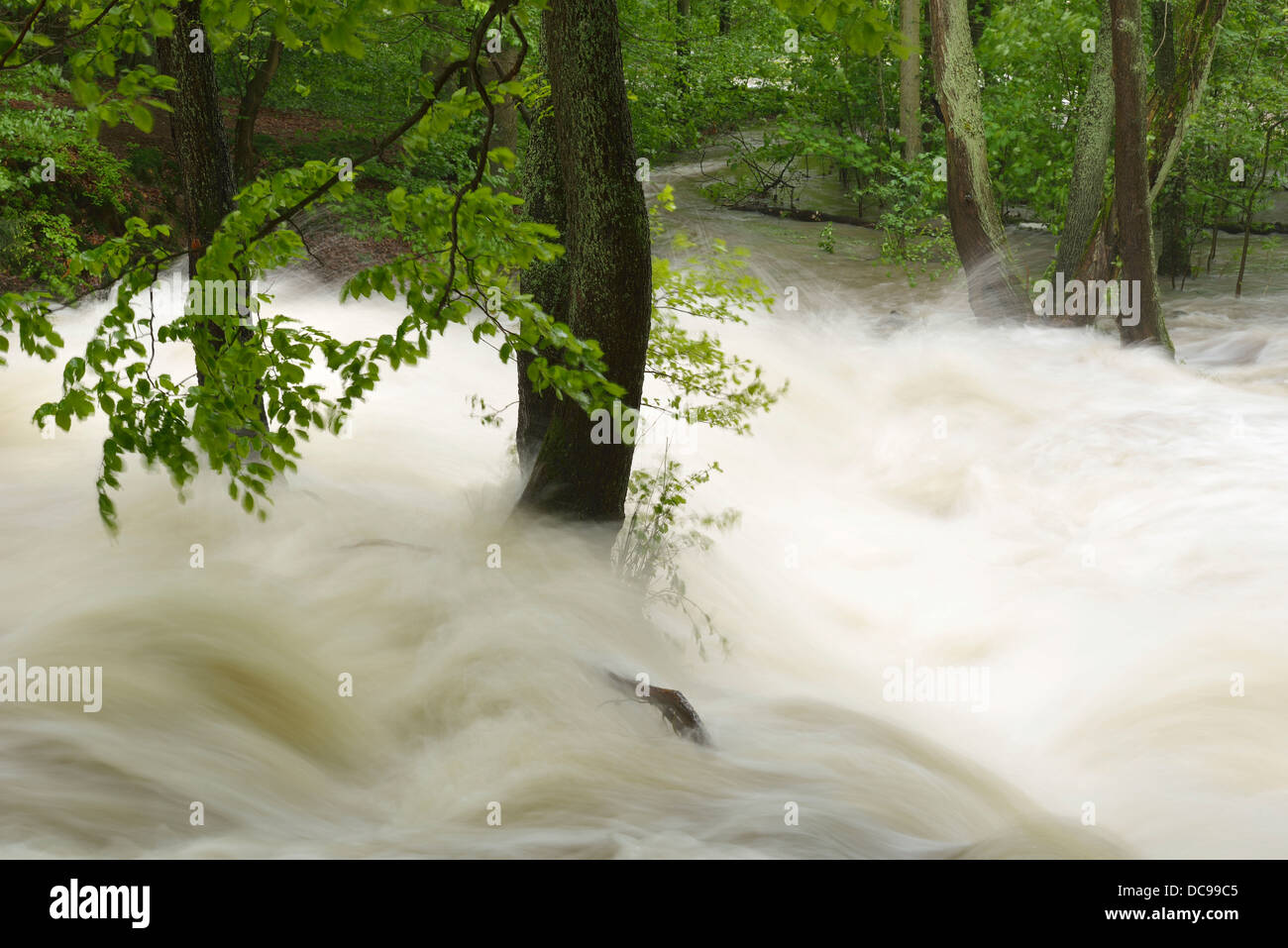 Waterfall on the Selke River during a flood, torrential floods Stock ...