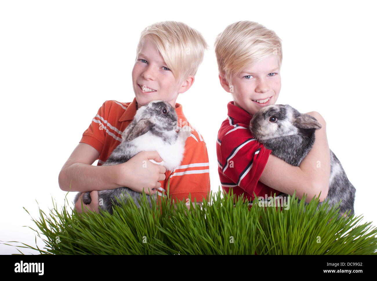 Two boys holding Netherland Dwarf Rabbits Oryctolagus cuniculus ...