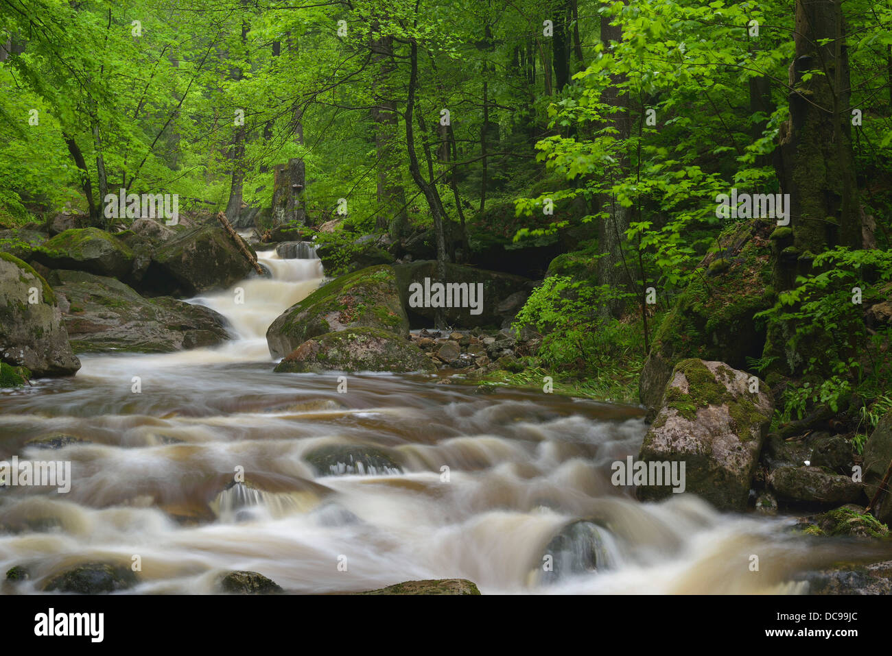 Water flowing over stones and rocks in a mountain stream, course of the ...