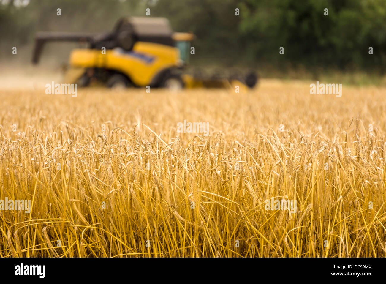 Crop machine harvester hi-res stock photography and images - Alamy