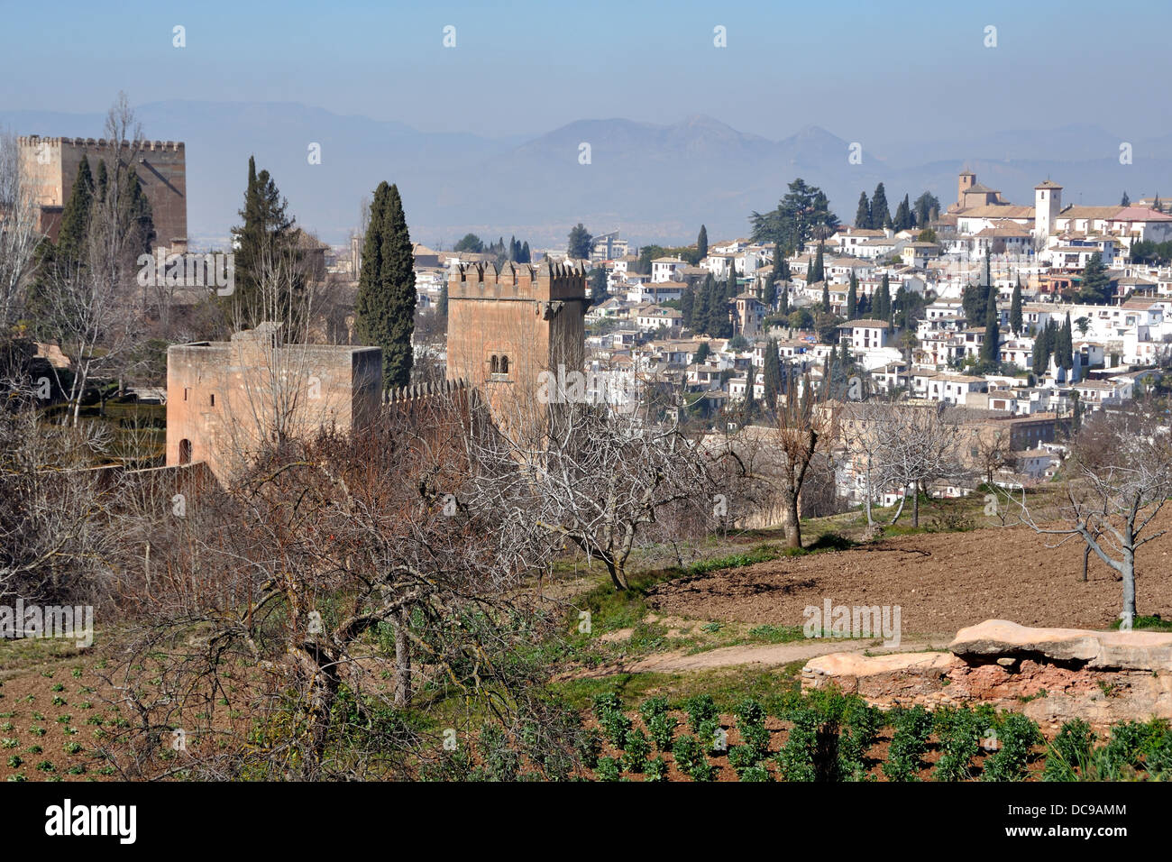 Garden of Alhambra palace with city at the background Stock Photo - Alamy