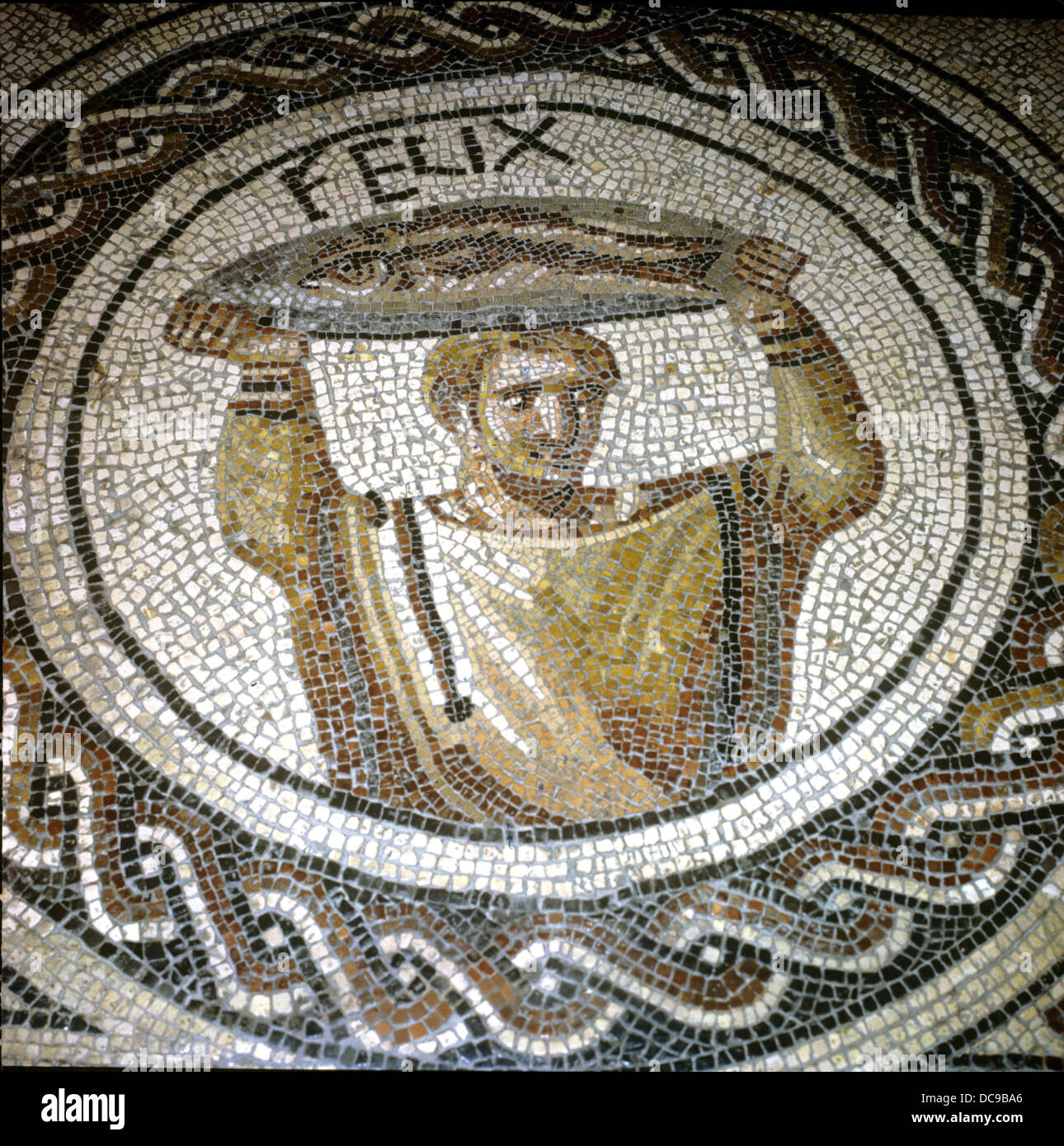 Roman mosaic fish hi-res stock photography and images - Alamy