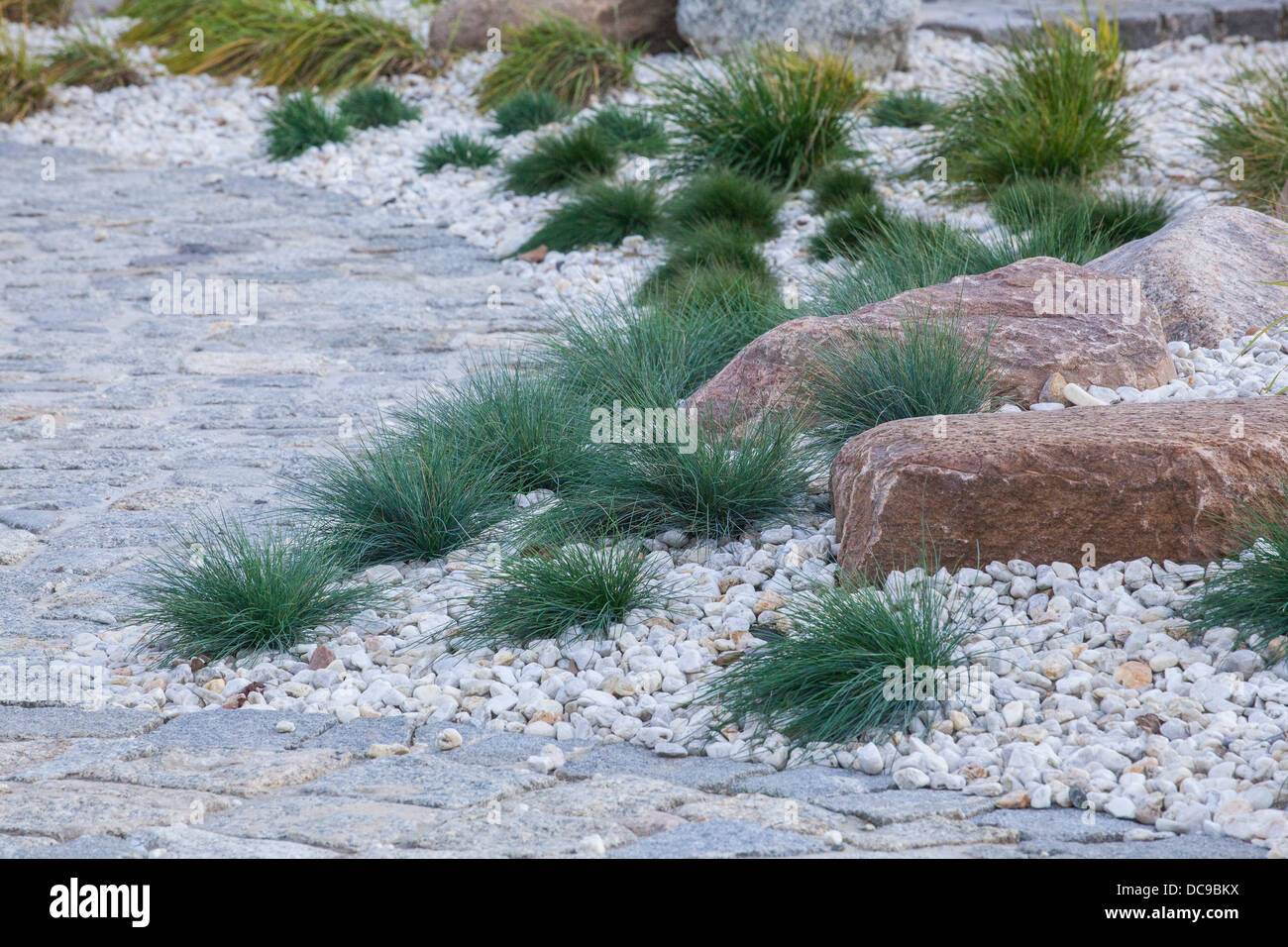 Grass flower bed Stock Photo - Alamy